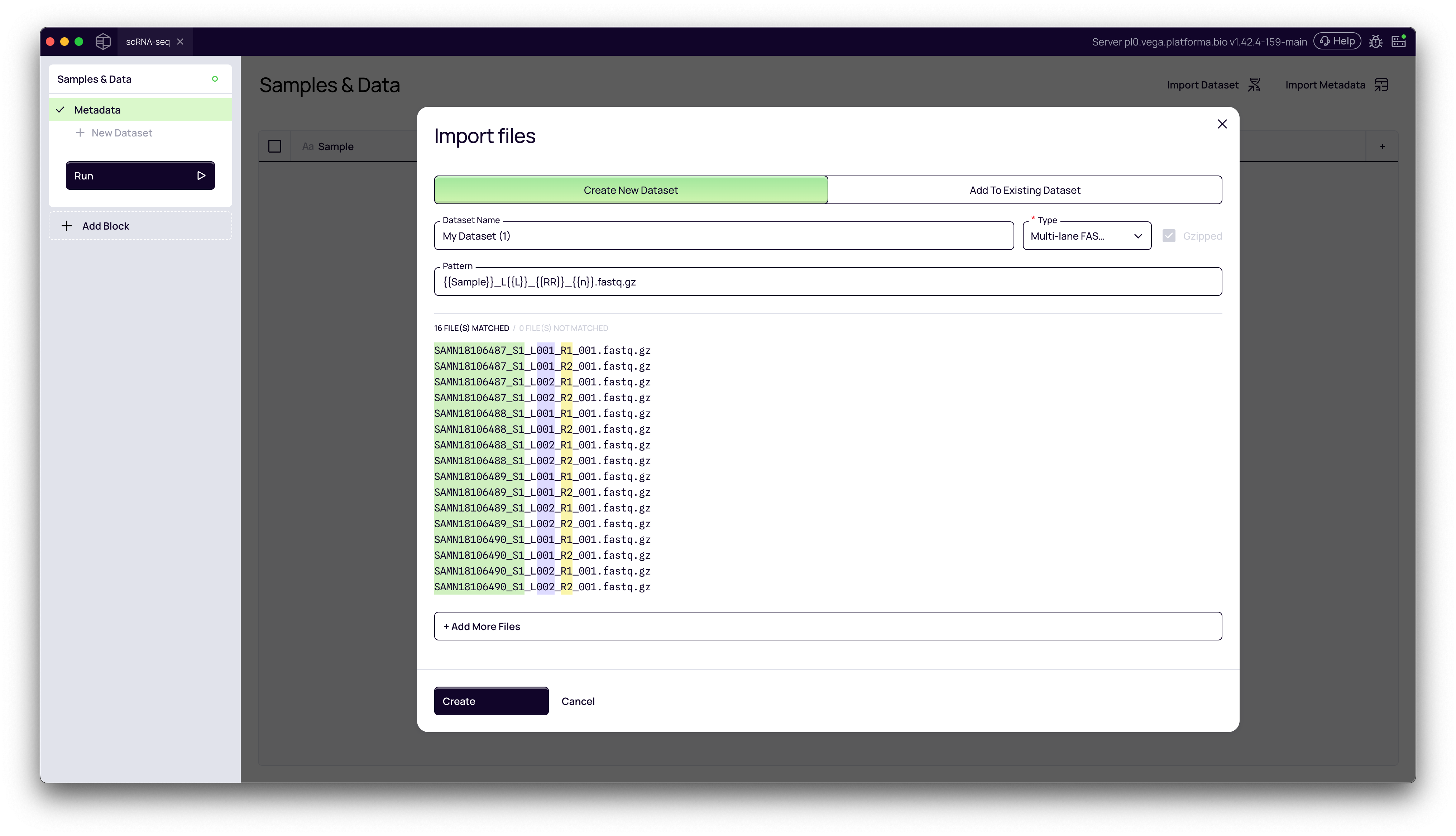 Project Setup: Importing Samples & Metadata | Platforma docs